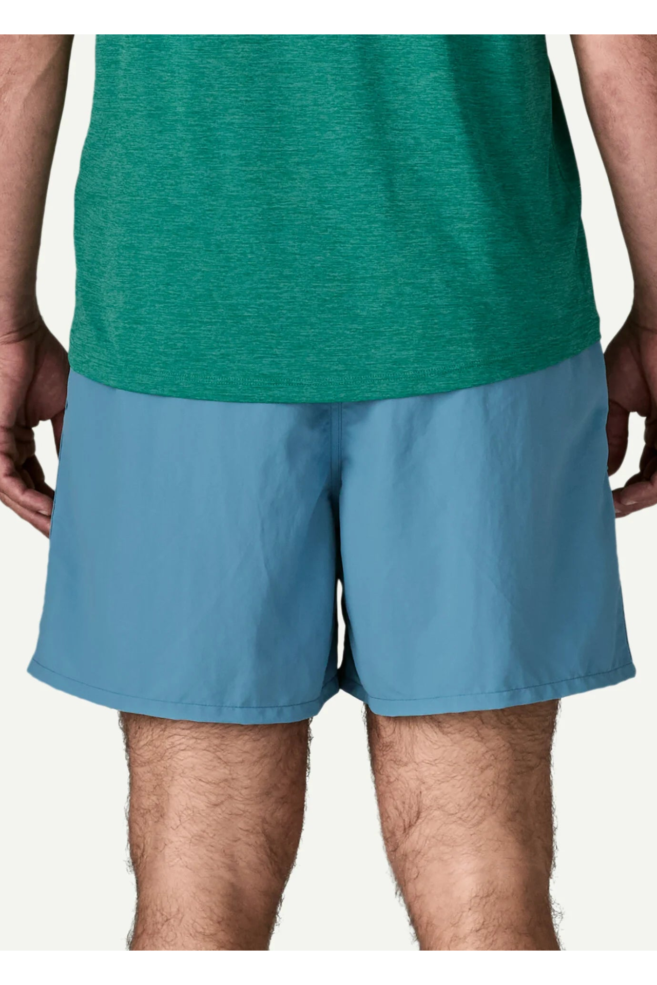 Patagonia M's Baggies Shorts 5" – Ecology
