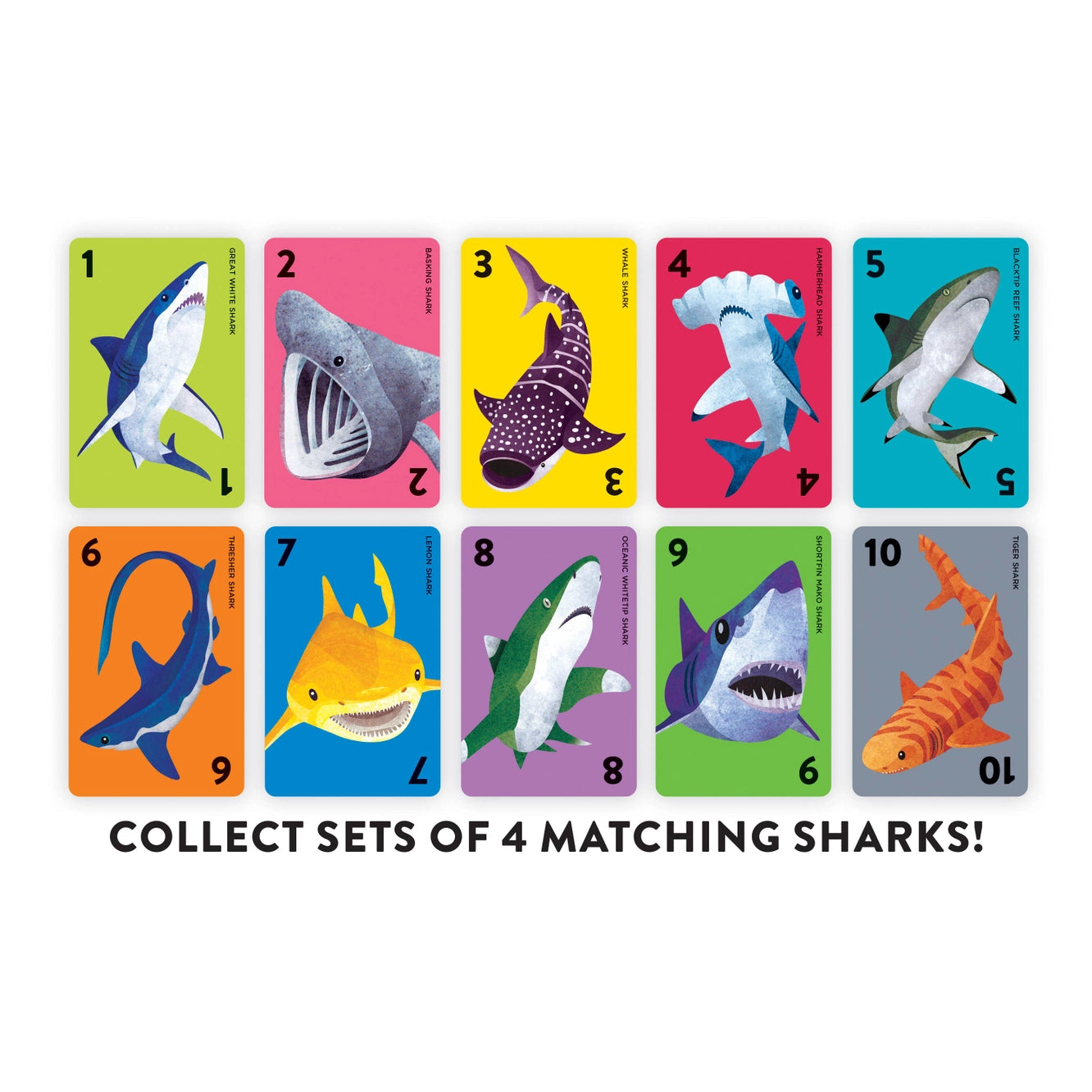 Go Shark! Card Game – Ecology
